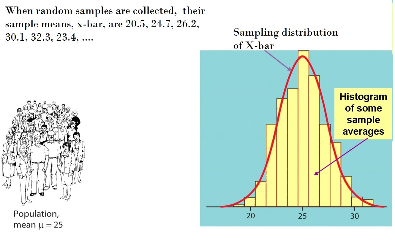 Sampling Distribution And Sampling Error